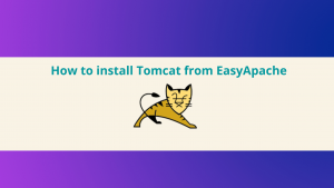 How to install Tomcat from EasyApache - Find out