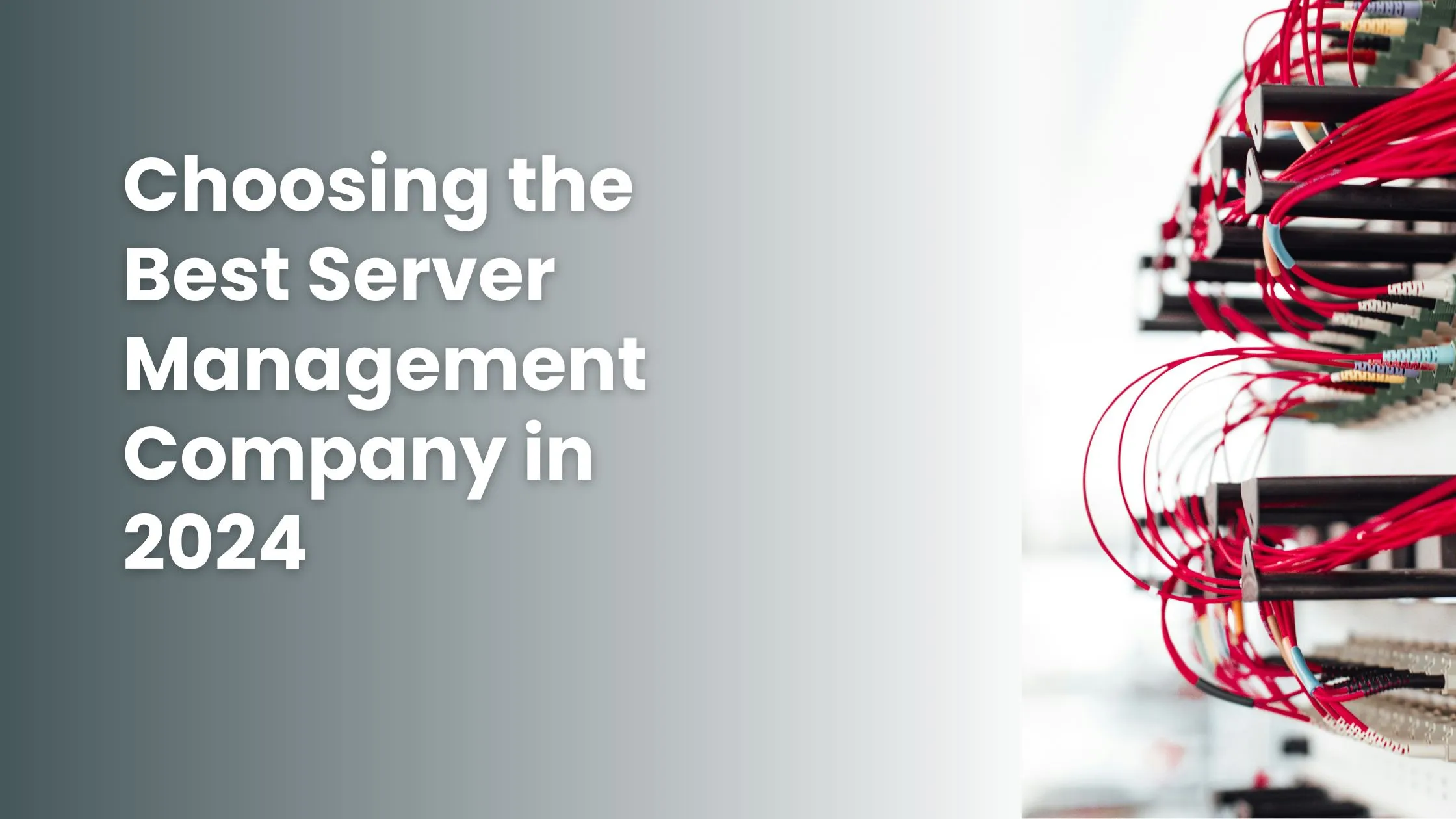 Choosing the Best Server Management Company in 2024: Your Guide to ...